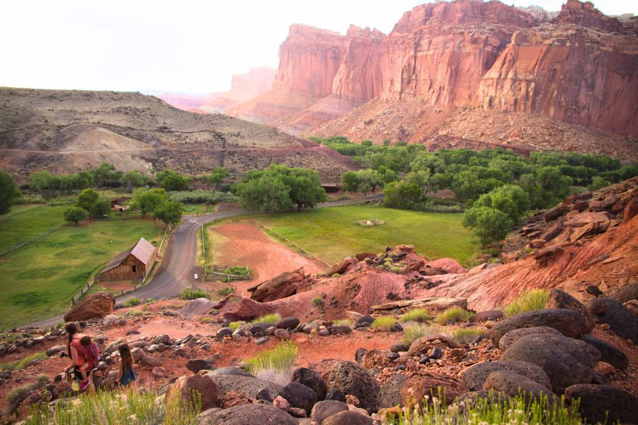 Fascinating Facts About Capitol Reef National Park (Utah’s Most ...